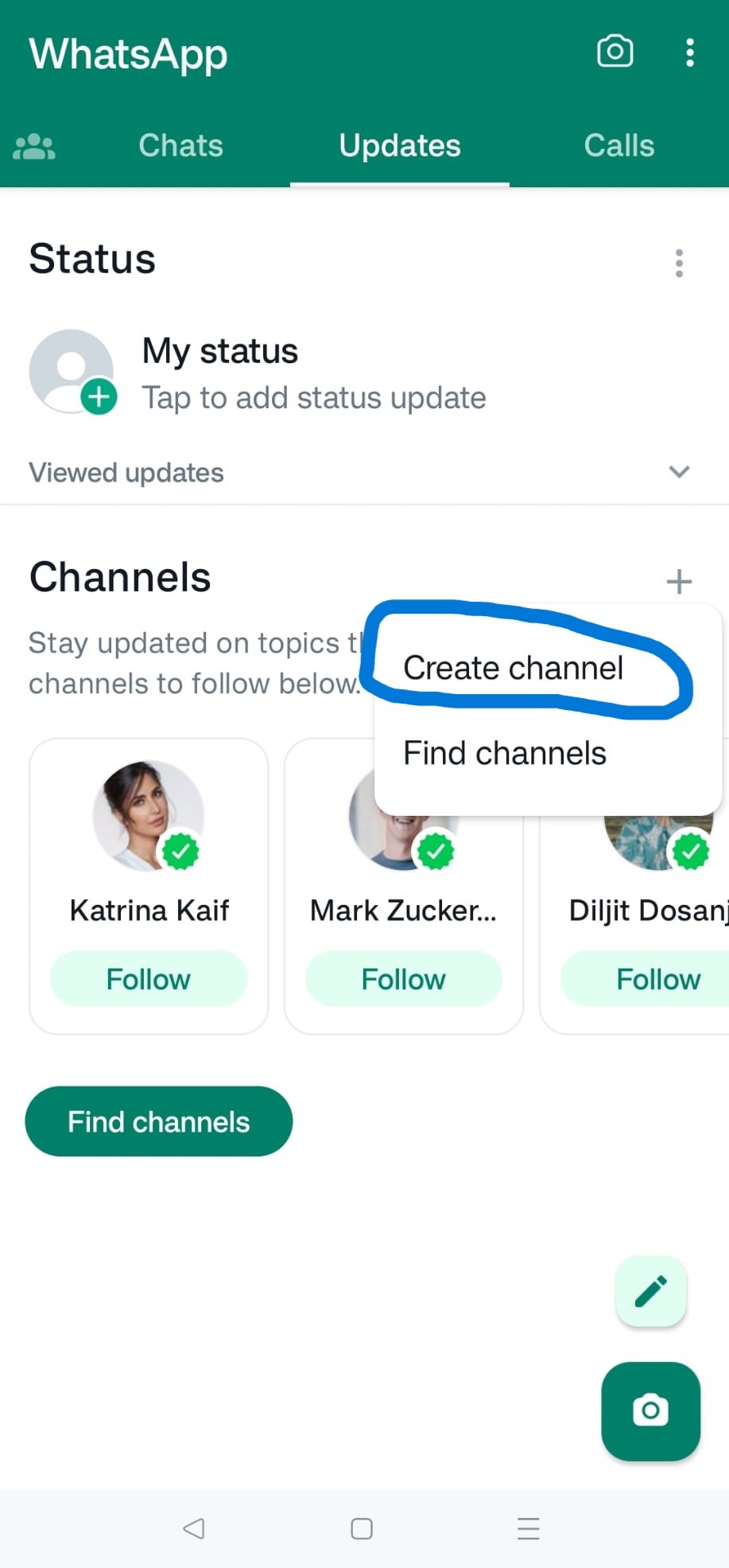 How To Create A WhatsApp Channel: A Step-by-step Guide - Ankita Agrawal